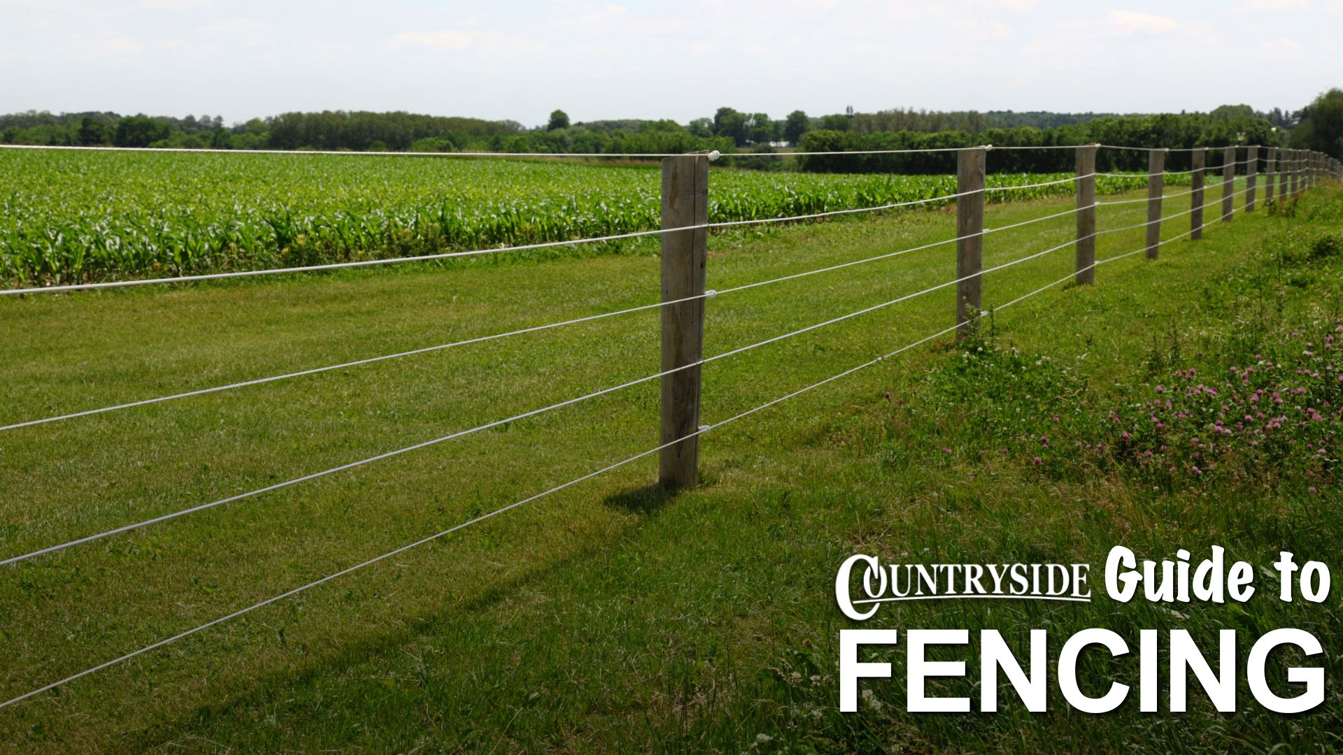 Free Guide: Fencing - Countryside